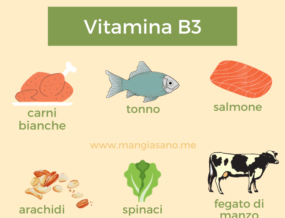Vitamina B12, la vitamina della carne e del pesce - Dieta Nutrizione ...